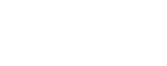 Fix Field _ Custom _ Validation _ Exception in Salesforce: Causes & Solutions